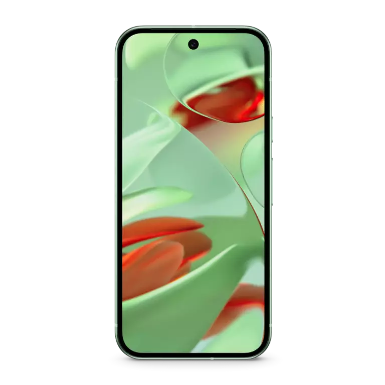 Google Pixel 9 SIM Free Wintergreen | EE