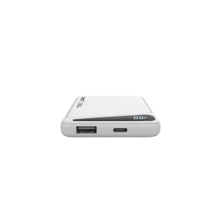 Cygnett Essential 5,000mAh Power Bank | Chargers & Power | EE